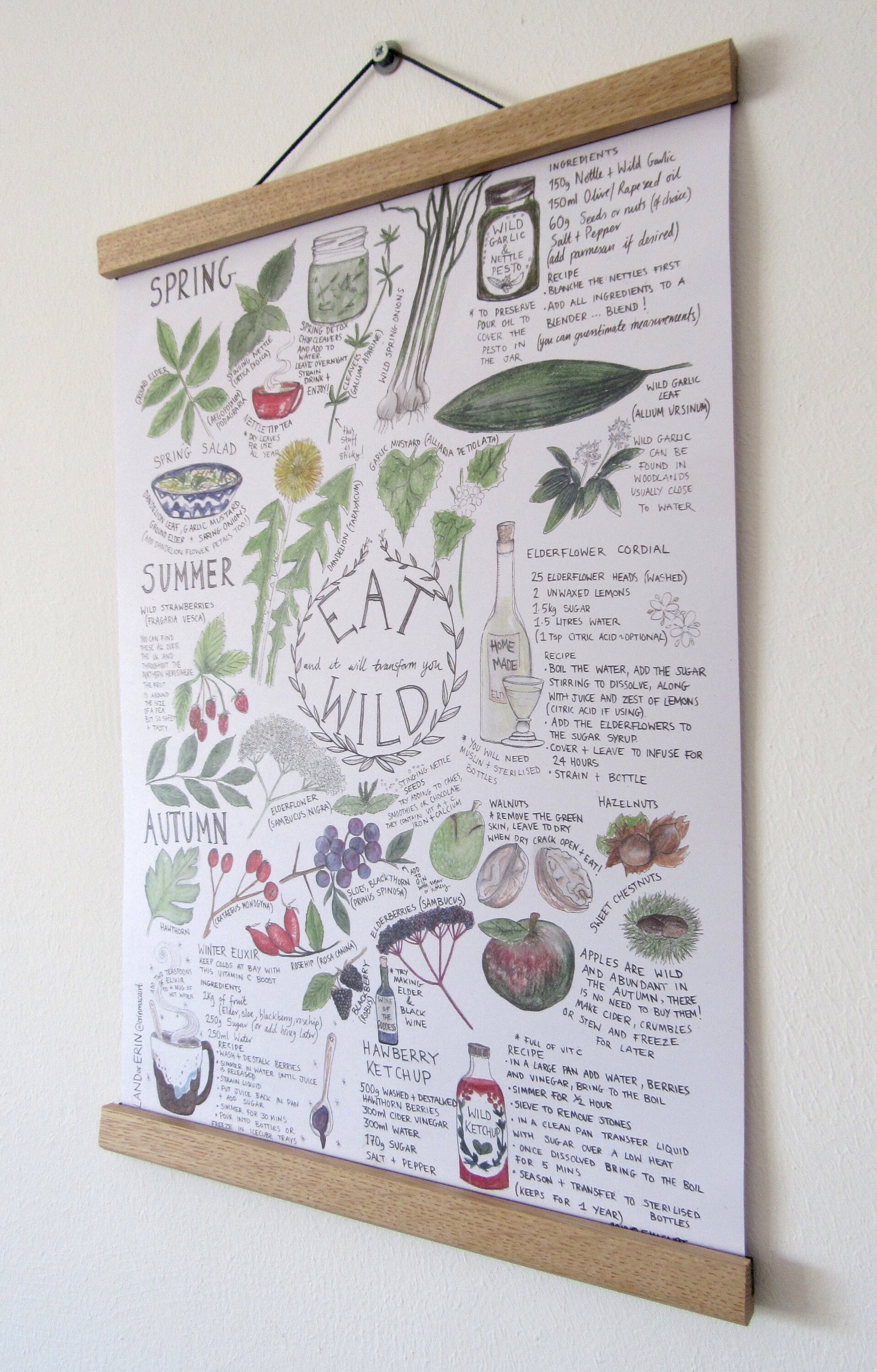 EAT WILD Foraging Poster / Recipes / Outdoor Living / Wild - Etsy UK