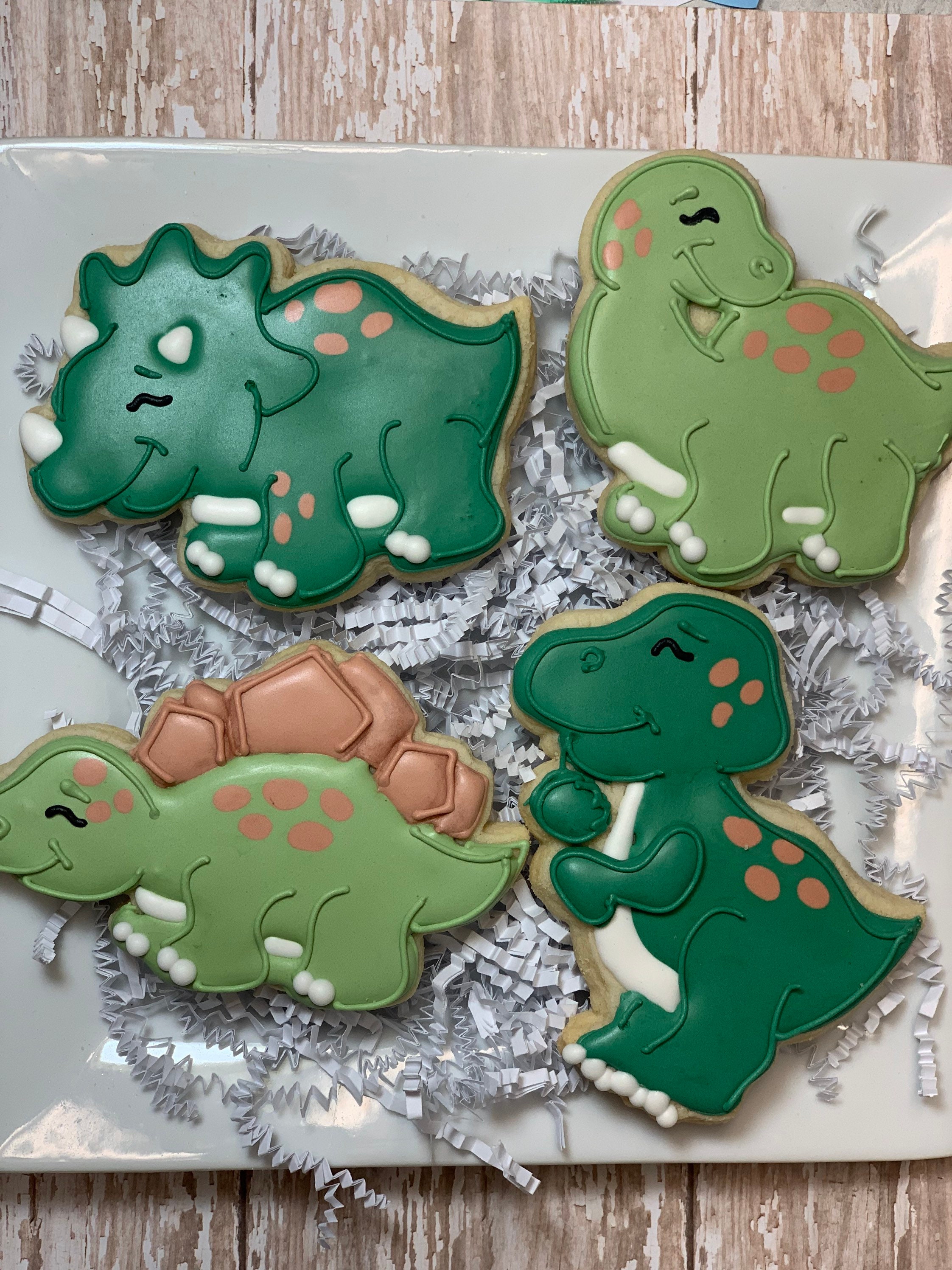 Dinosaur Cookies Stegosaurus Brontosaurus Triceratops - Etsy