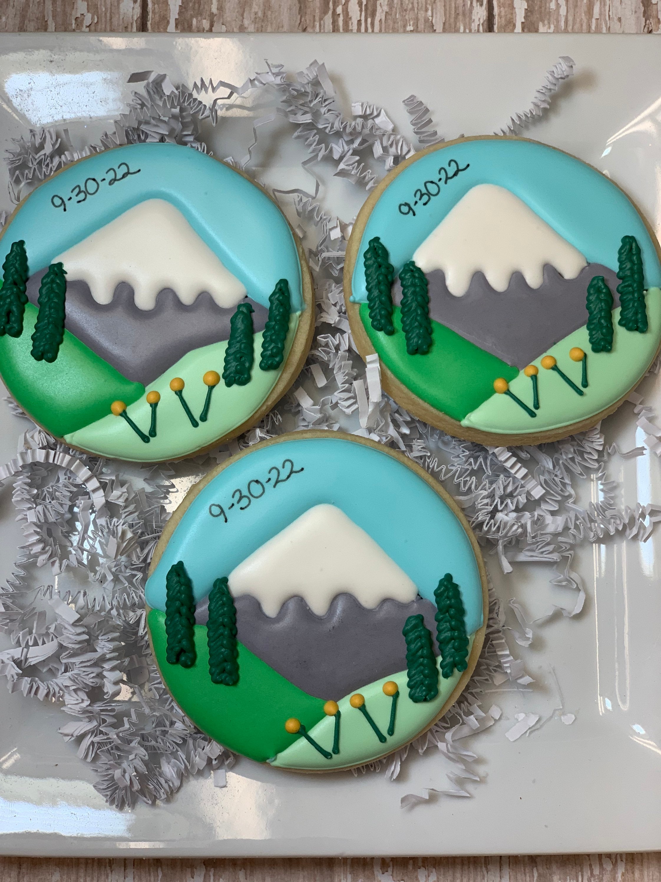 Mountain Themed Cookies, Mountain Cookies - Etsy