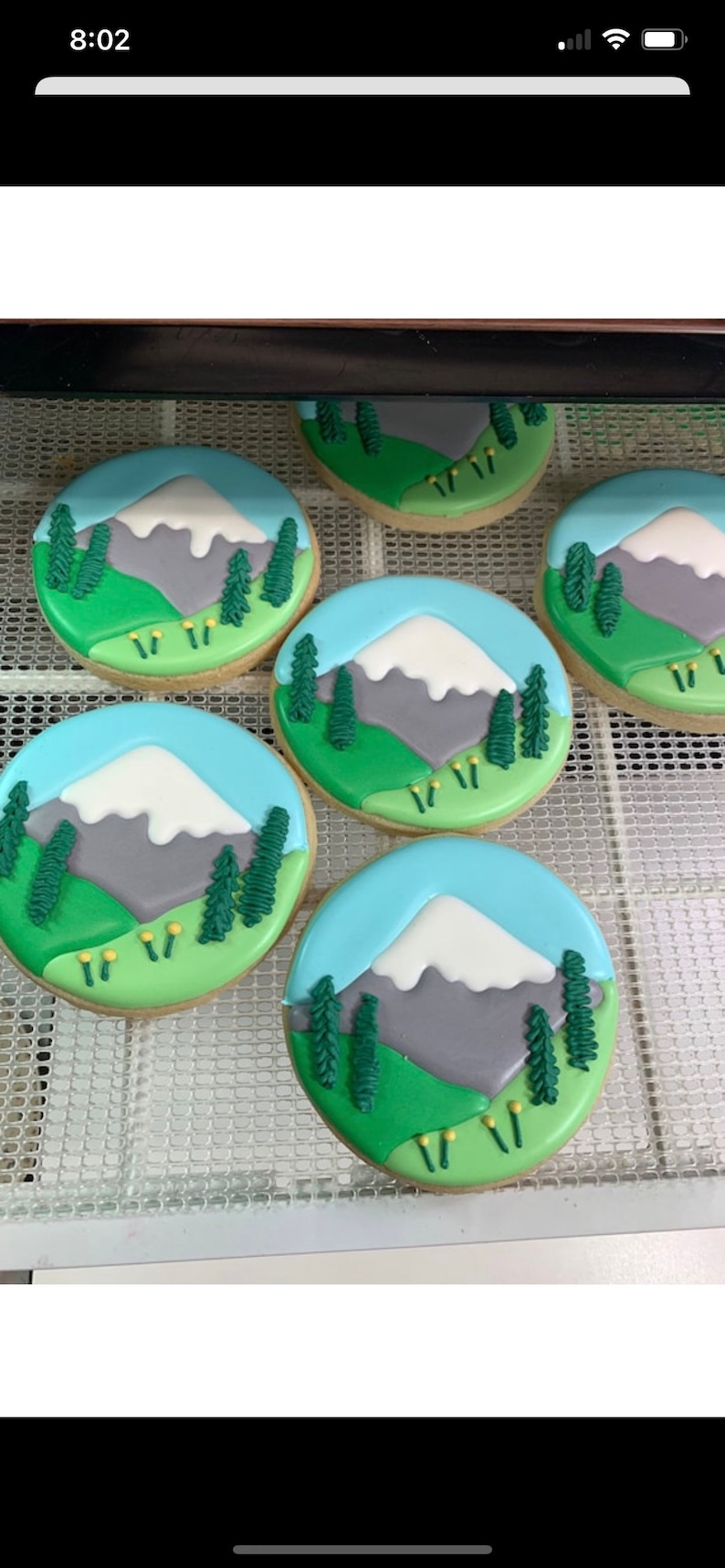 Mountain Themed Cookies, Mountain Cookies - Etsy