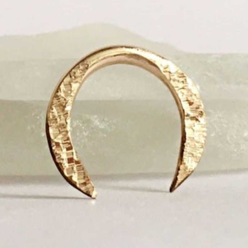 12g Gold Septum Pincher - Etsy