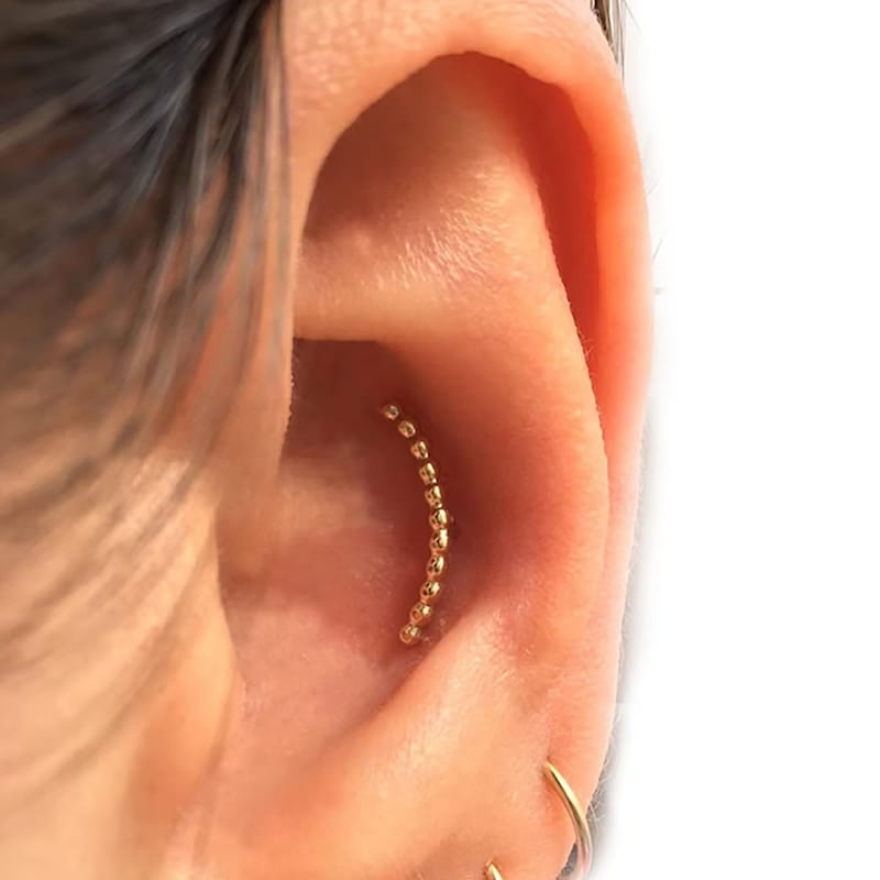 Conch Earrings - Etsy