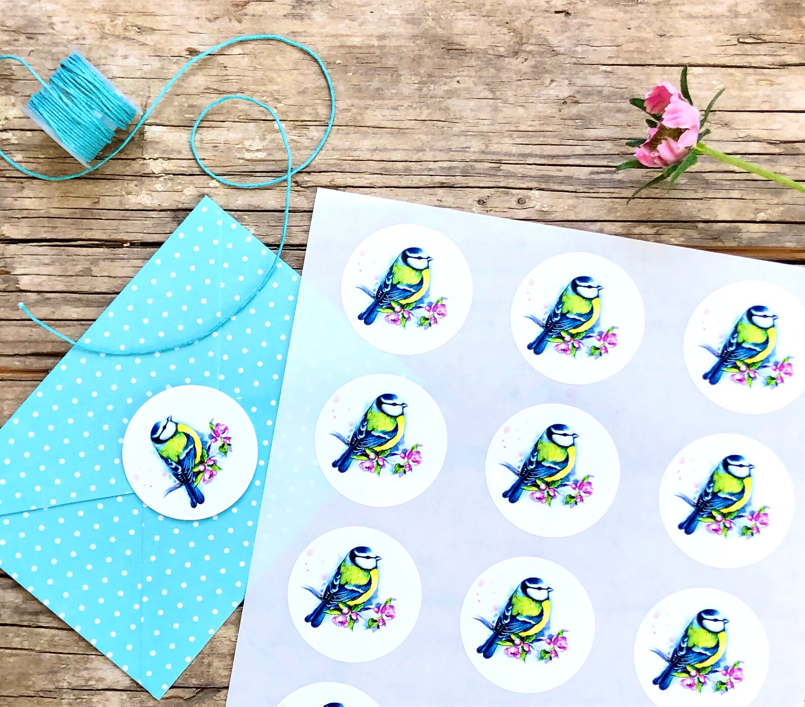 Blue Tit Sticker Sheet With 15 Stickers Easter Design - Etsy