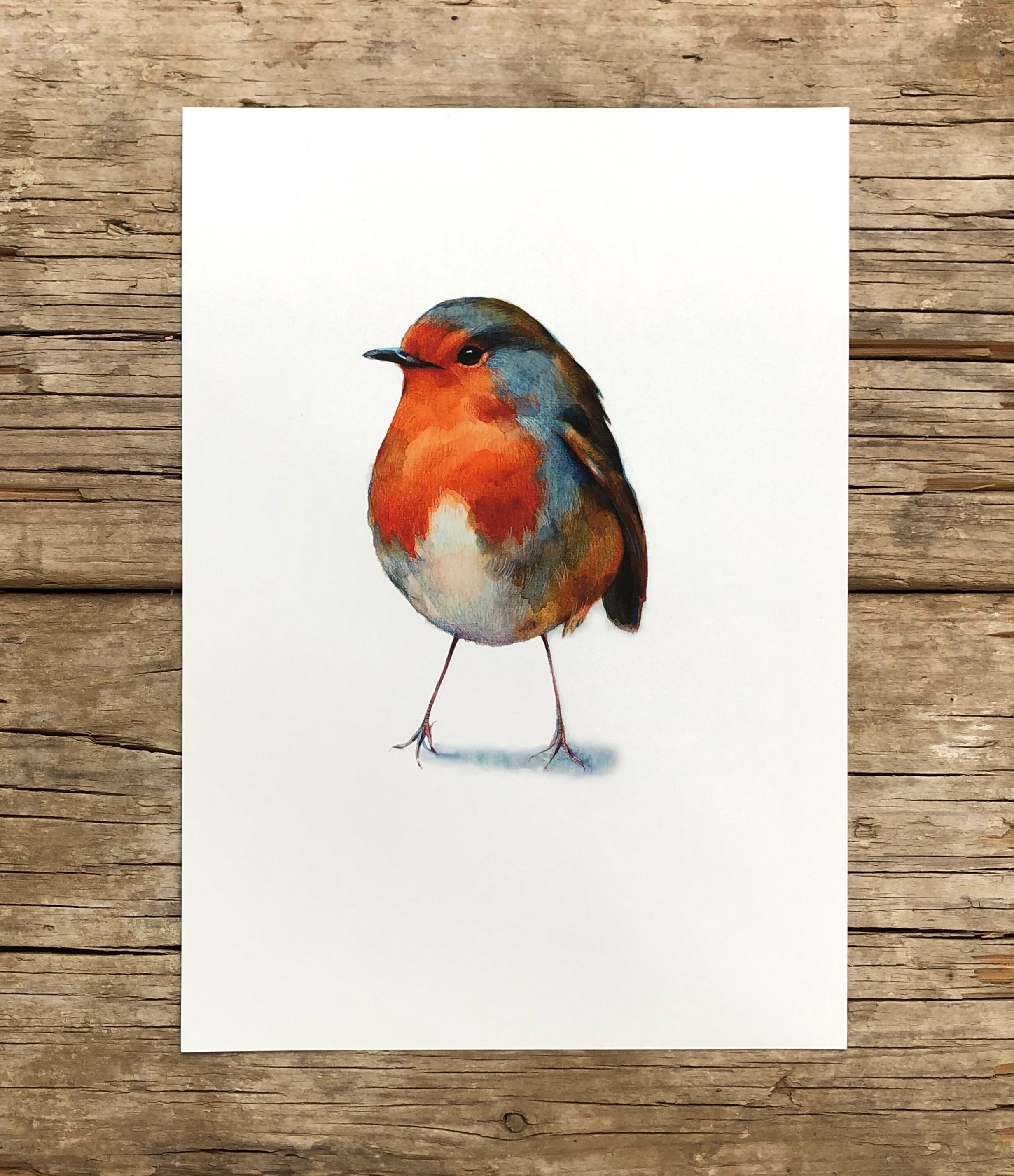 Robin Watercolor Fine Art Archival Print Bird Art Nursery | Etsy