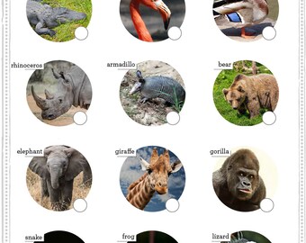 Zoo Seek and Find - Etsy