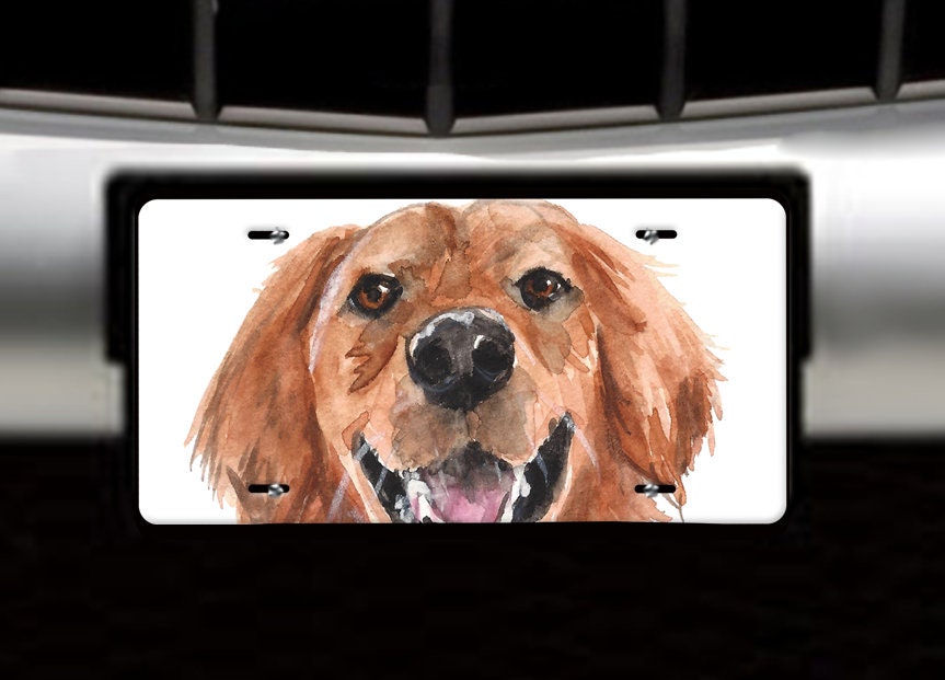 Phteven Dog License Plate