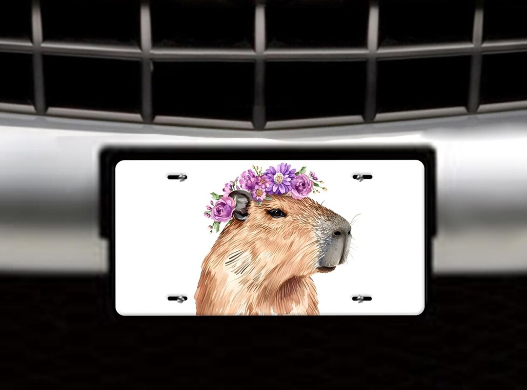 Watercolor Capybara With Flowers Design License Plate Car Tag - Vanity ...