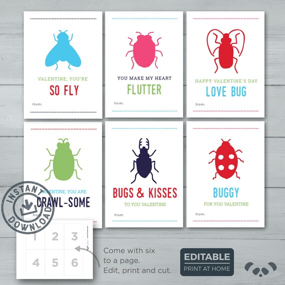 Insect Valentine Card Cuddle Bug Valentine's Day Cards Silver