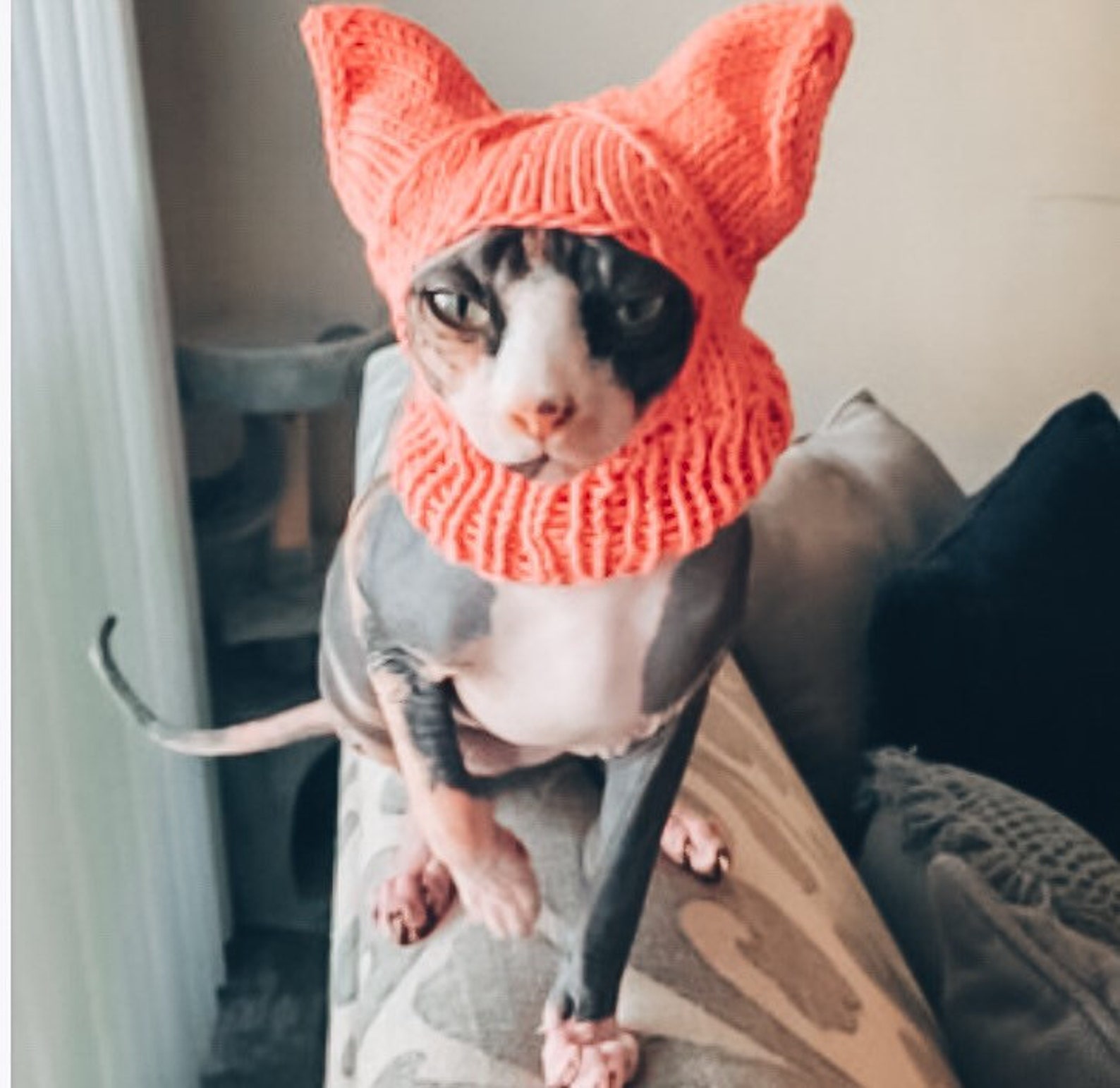 Ears Covering Cat Hat Single Color Hat for Naked Sphinx - Etsy