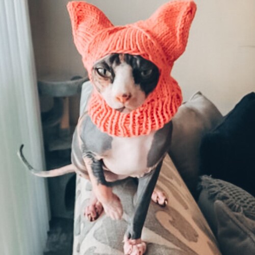 Ears Covering Cat Hat Single Color Hat for Naked Sphinx - Etsy