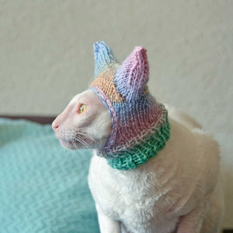 Hat for Cat Ears Covering Cat Hat Multicolored Handmade Hat - Etsy Canada