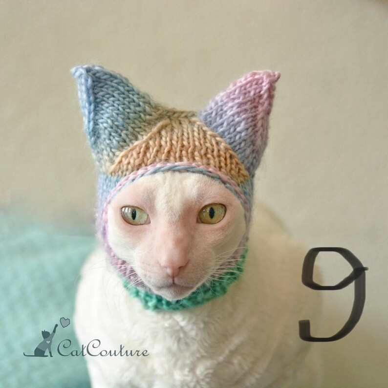 Hat for cat Ears covering cat hat Multicolored handmade hat | Etsy