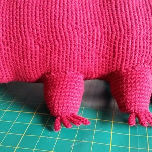 Water Bear PDF Crochet Pattern - Etsy
