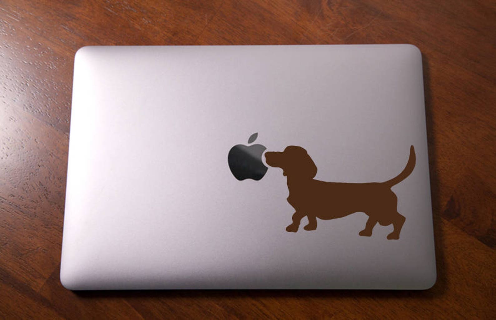Laptop Vinyl Decal Sticker Animals Dog Pets Pet Dachshund | Etsy