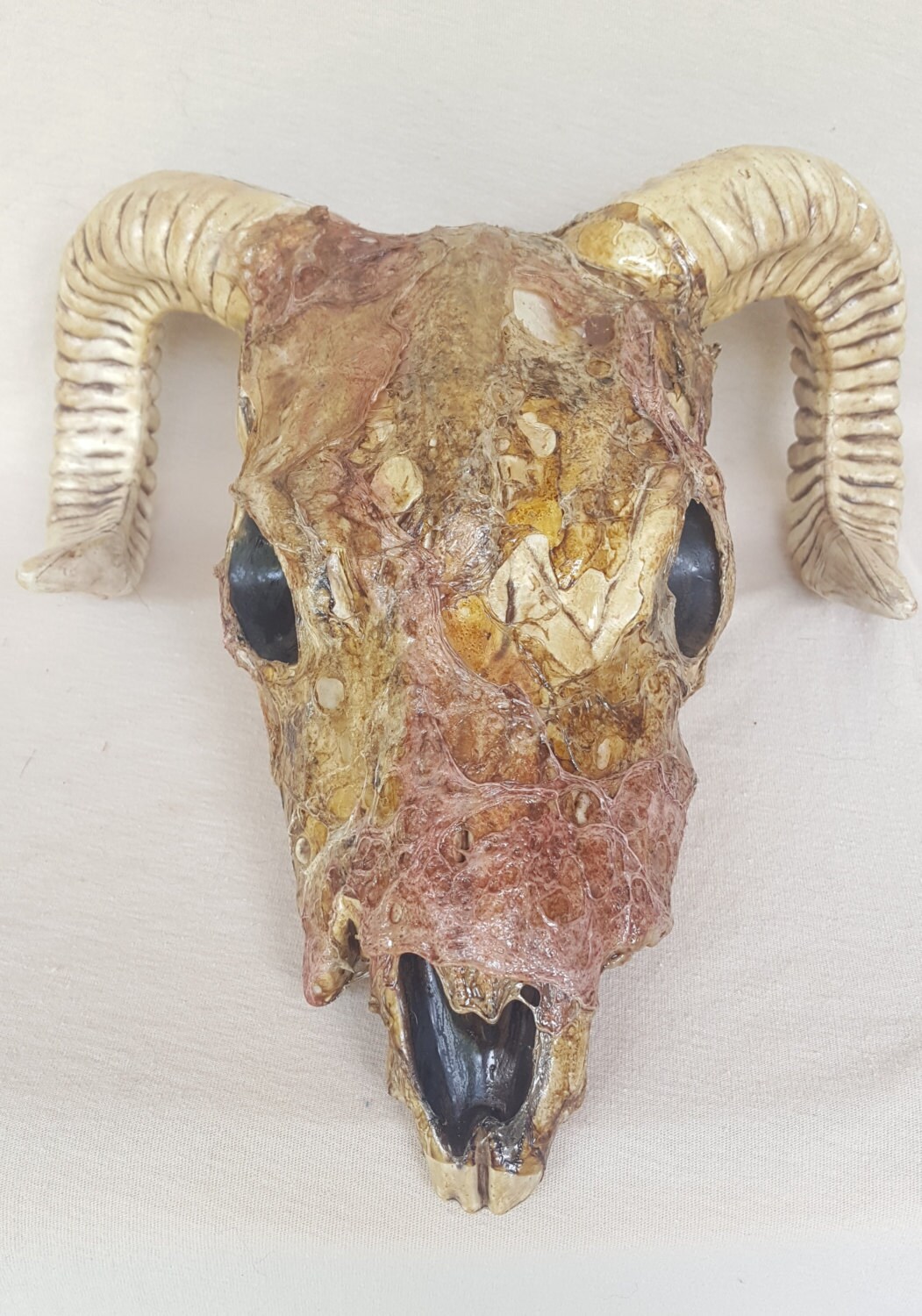 Ram-rod the Zombie Ram - Etsy