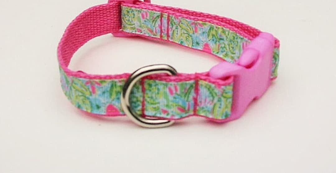 COCONUT DOG Collar, 3/4" & 1", Pink Collar, Preppy Collar, Jungle ...
