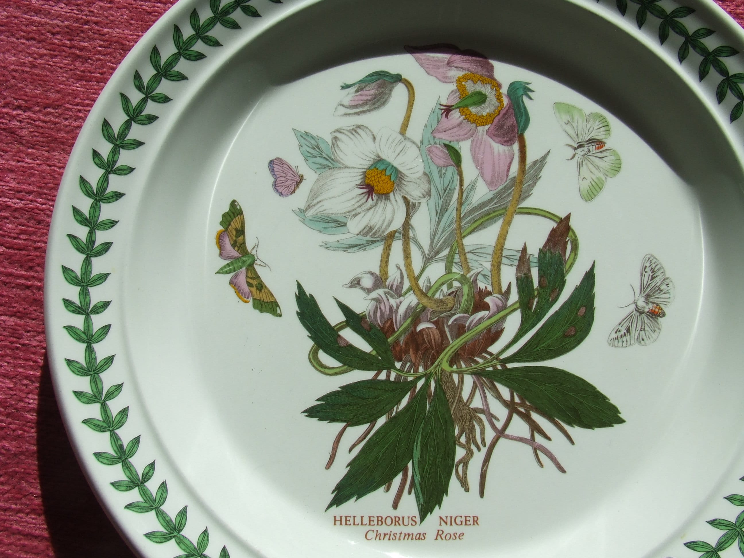 Portmeirion Botanic Garden Dinner Plate Christmas Rose Design - Etsy