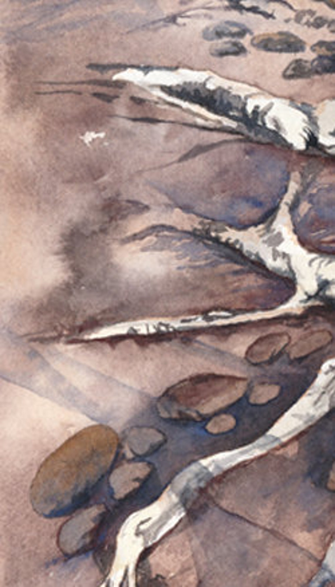 Tree Roots Watercolor,persistence, Nature, Earth, Art, Tree Art, Wall ...