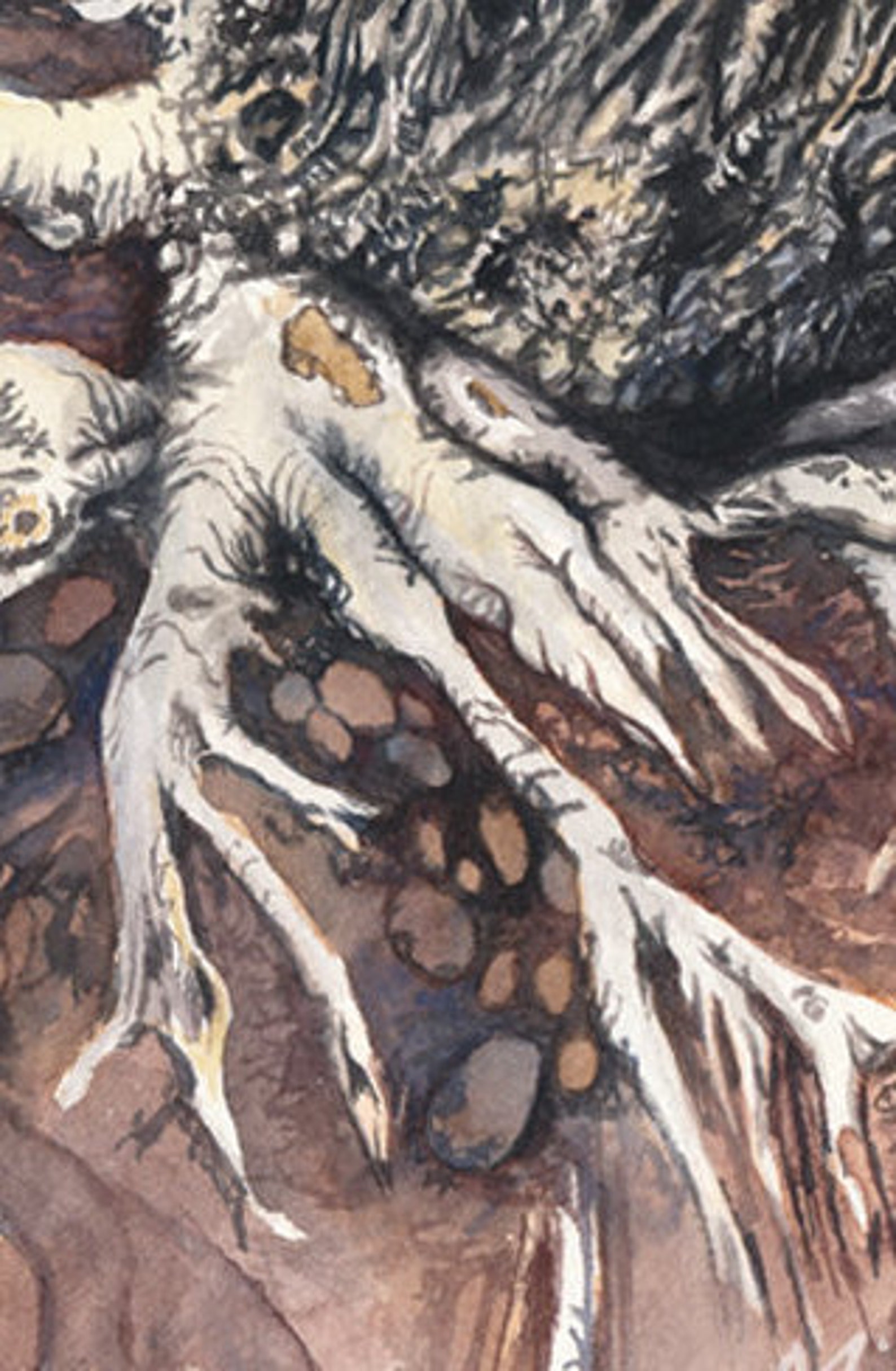 Tree Roots Watercolor,persistence, Nature, Earth, Art, Tree Art, Wall ...