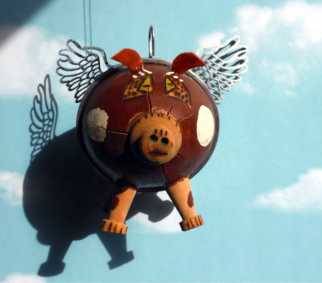 Flying Pig Gourd Bank From the Cayman Islands - Etsy
