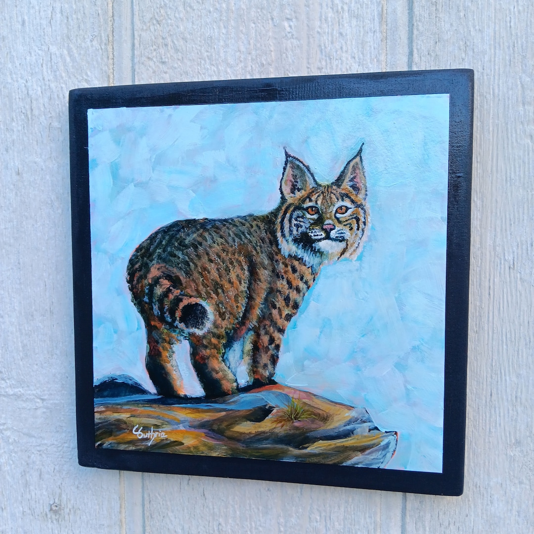 Wildlife Art Bobcat Painting, Original Acrylic Painting, Wood Plaque - Etsy