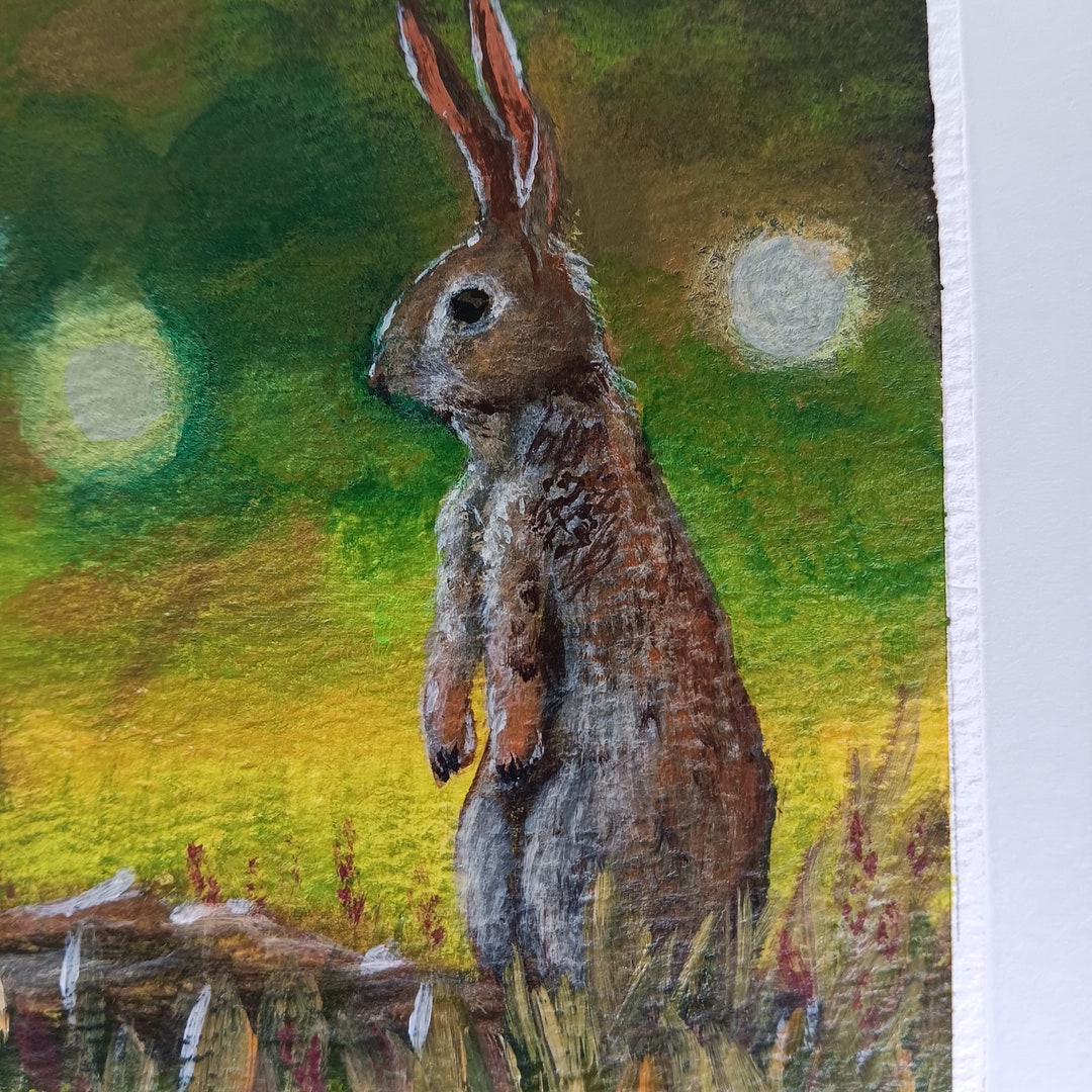 Cottontail Rabbit Painting on 4x6 Paper Signed Original - Etsy