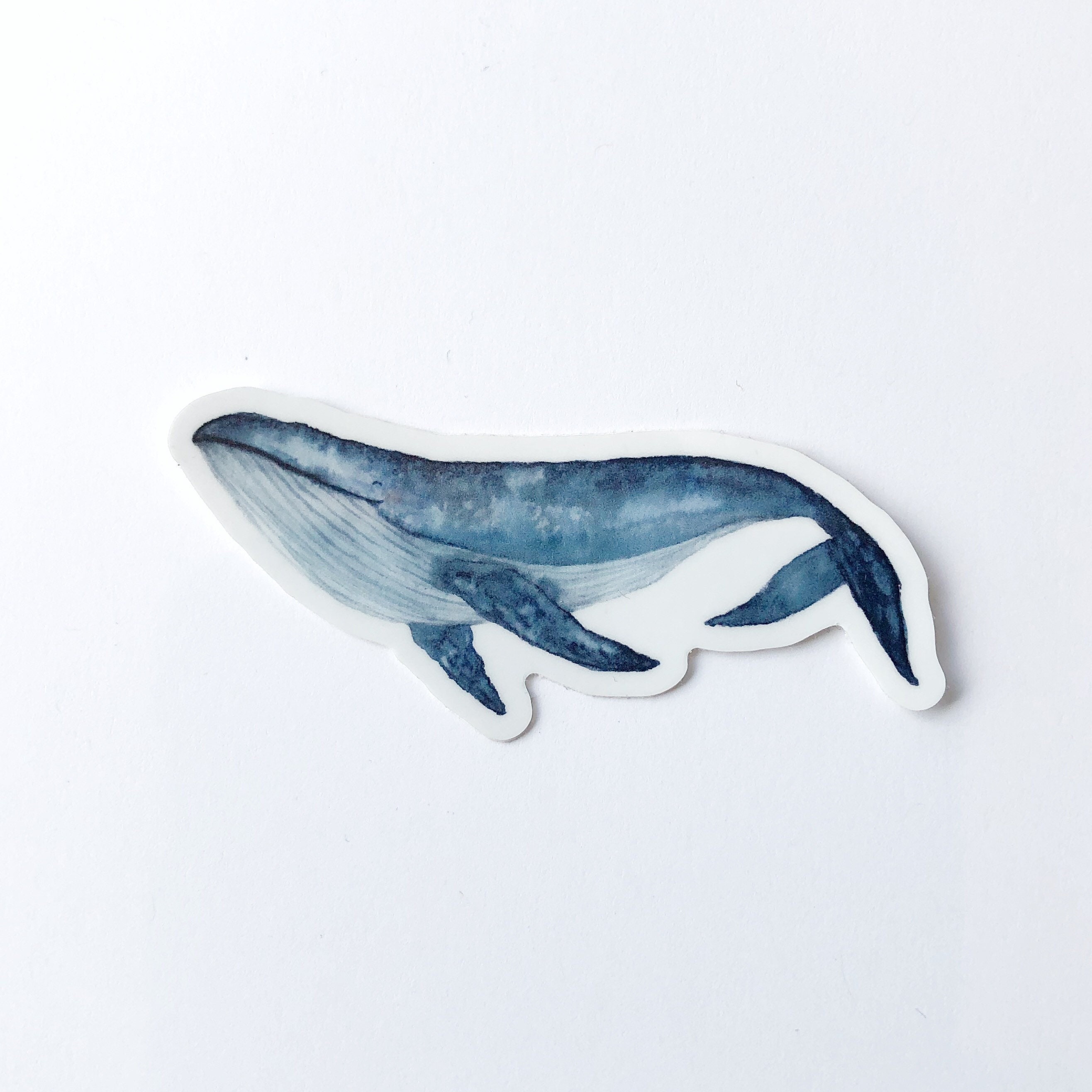 Etiqueta engomada de la ballena de vinilo ballena de acuarela - Etsy España
