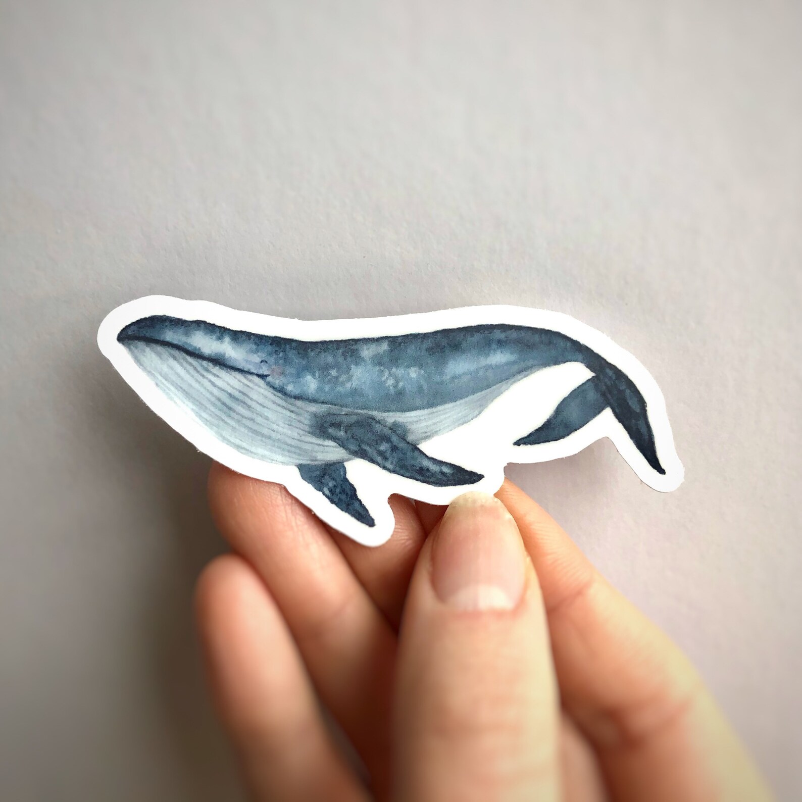 Etiqueta engomada de la ballena de vinilo ballena de acuarela - Etsy España