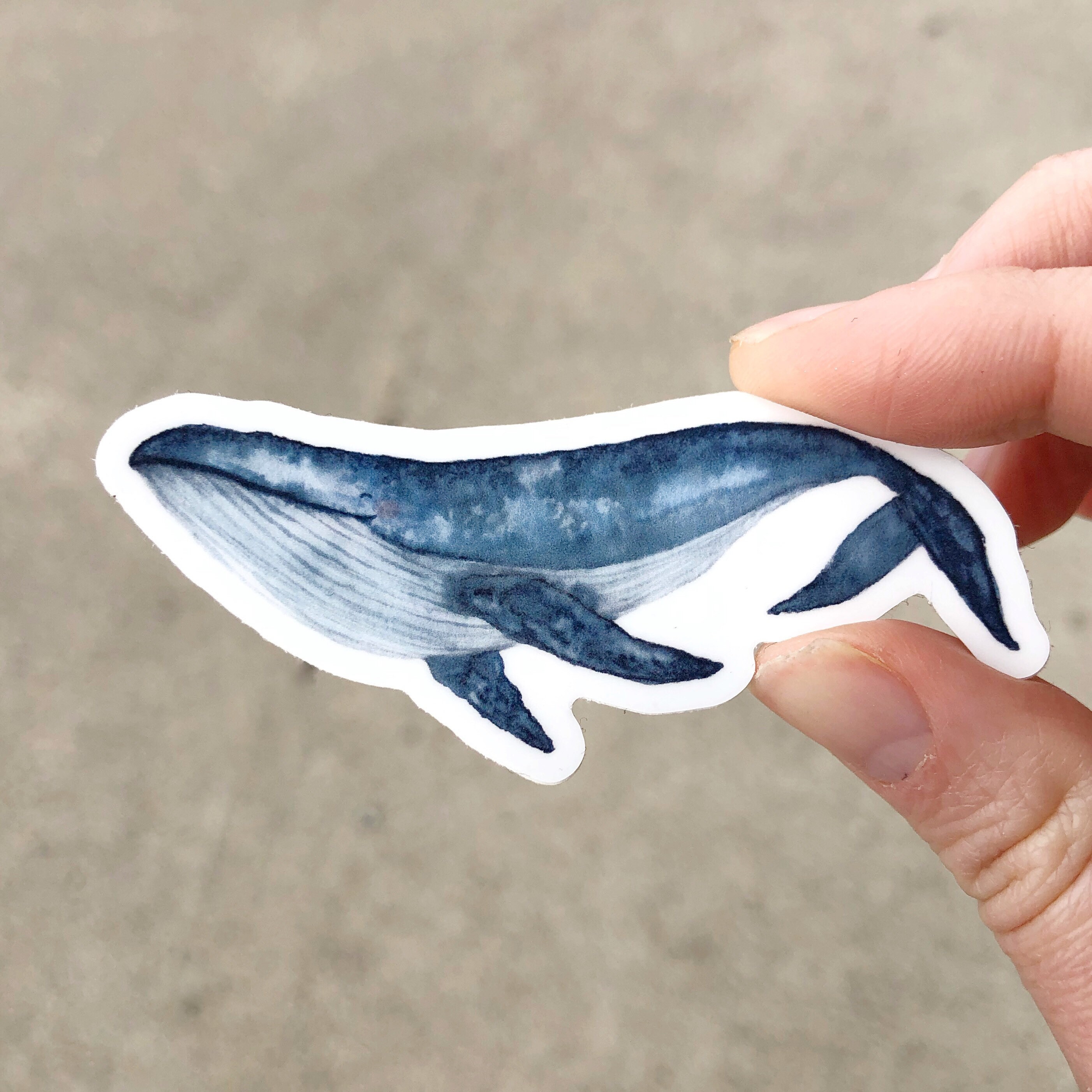 Etiqueta engomada de la ballena de vinilo ballena de acuarela - Etsy España
