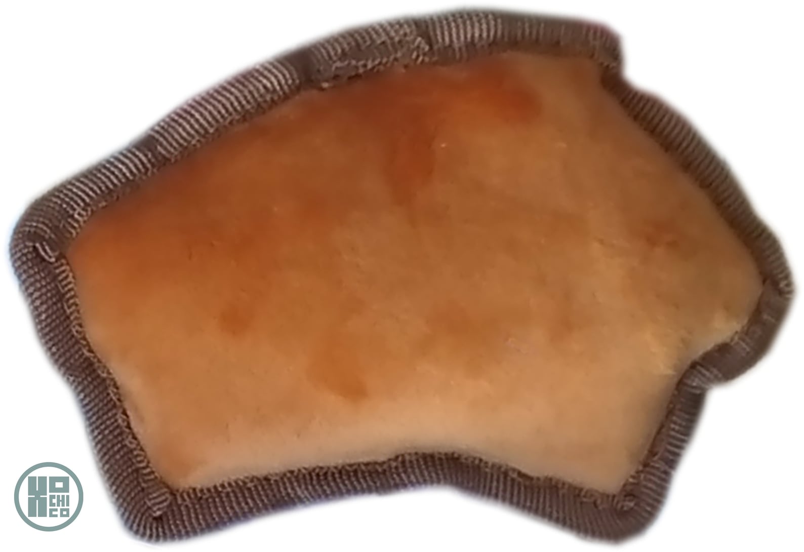 Cute Concha and Other Pan Dulce Squeaky Dog Toys. | Etsy