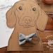 Printable Dachshund Pet Collar DIY Display Card Dog Accessory Display ...