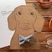 Printable Dachshund Pet Collar DIY Display Card Dog Accessory Display ...
