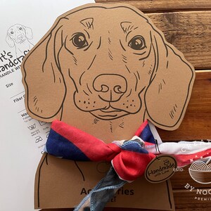 Printable Dachshund Pet Collar DIY Display Card Dog Accessory Display ...