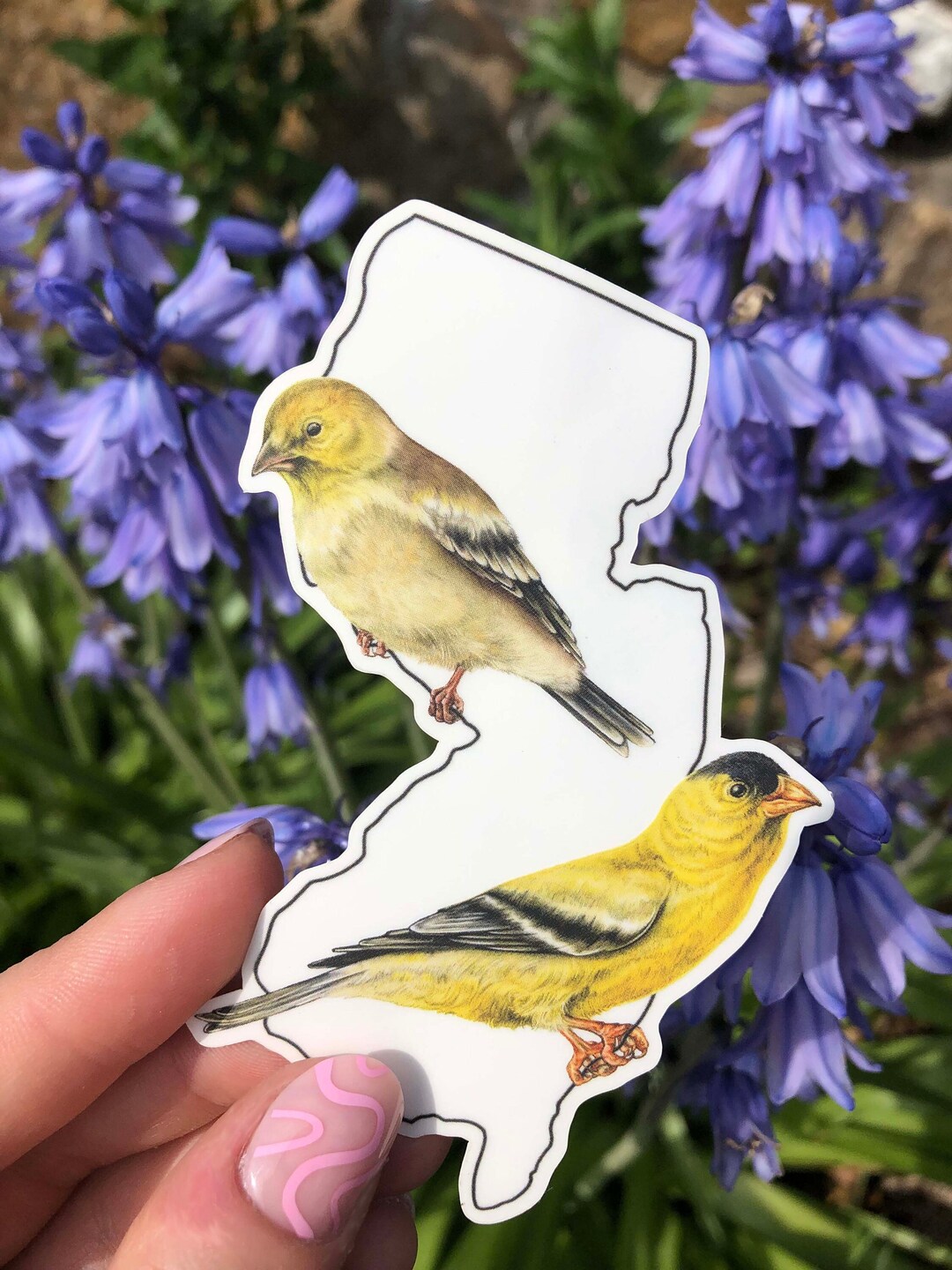New Jersey State Bird Goldfinch Weatherproof Matte Clear Sticker - Etsy