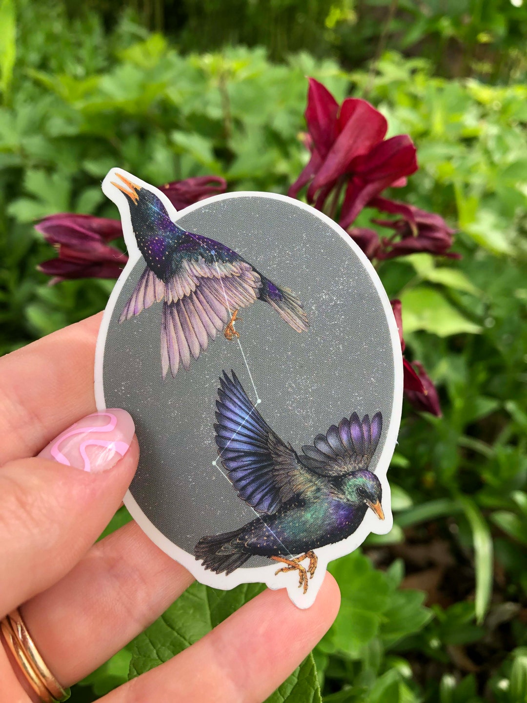 Starlings and Big Dipper Weatherproof Matte Clear Sticker - Etsy