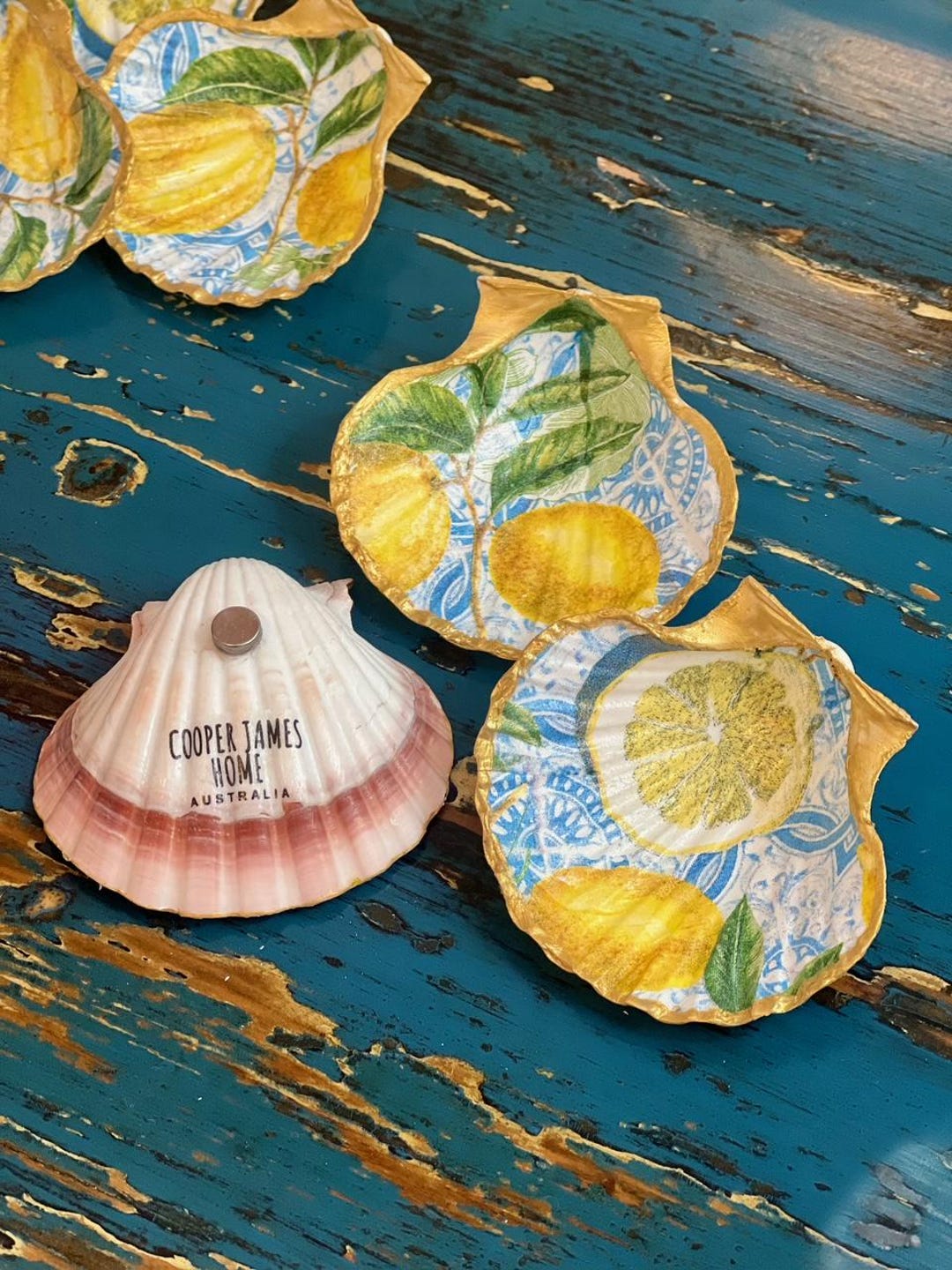 Shell Magnets (set of Three), Lemon Design- Coastal Home, Small Gift ...