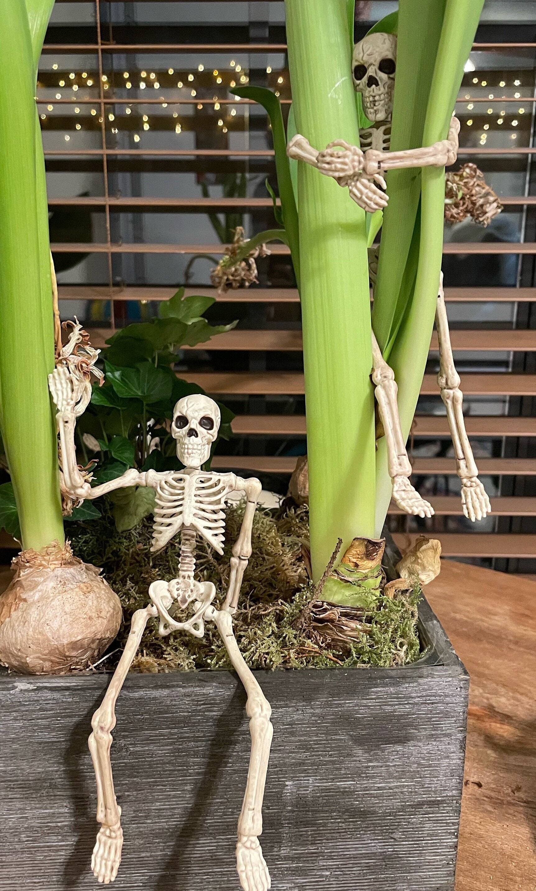 Mini Posable Skeleton,halloween Crafts, Miniatures,haunted Dollhouse ...