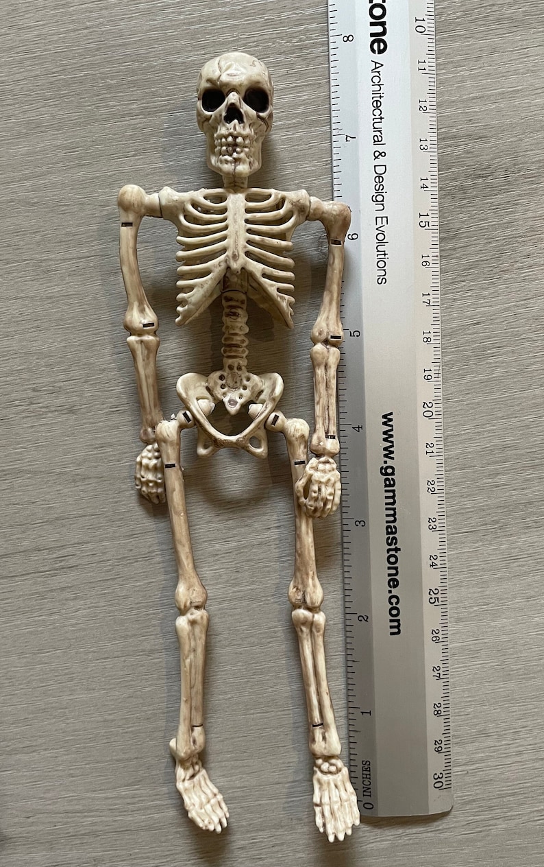 Mini Posable Skeleton,halloween Crafts, Miniatures,haunted Dollhouse ...