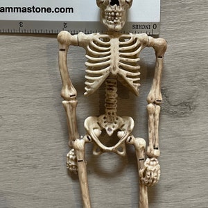 Mini Posable Skeleton,halloween Crafts, Miniatures,haunted Dollhouse ...
