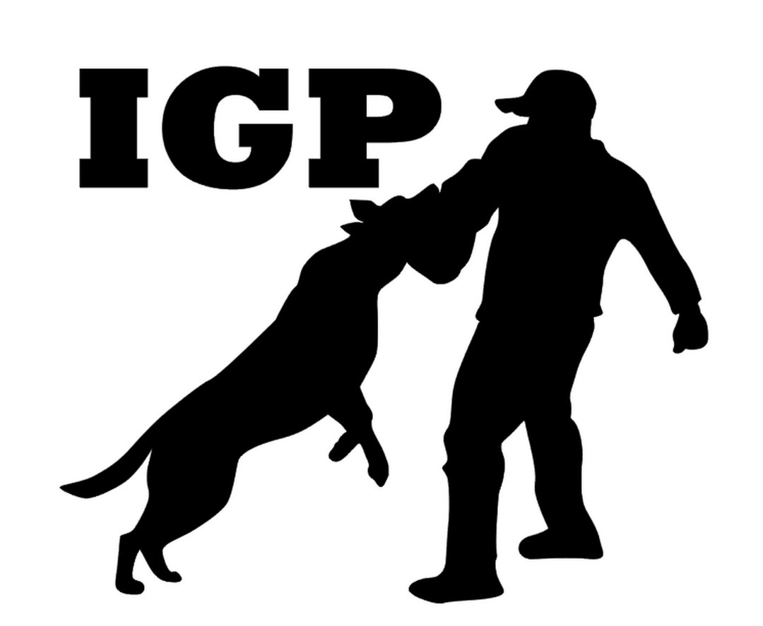 Sticker IGP Working Dog Sport Protection Service Figurant No. 8 - Etsy