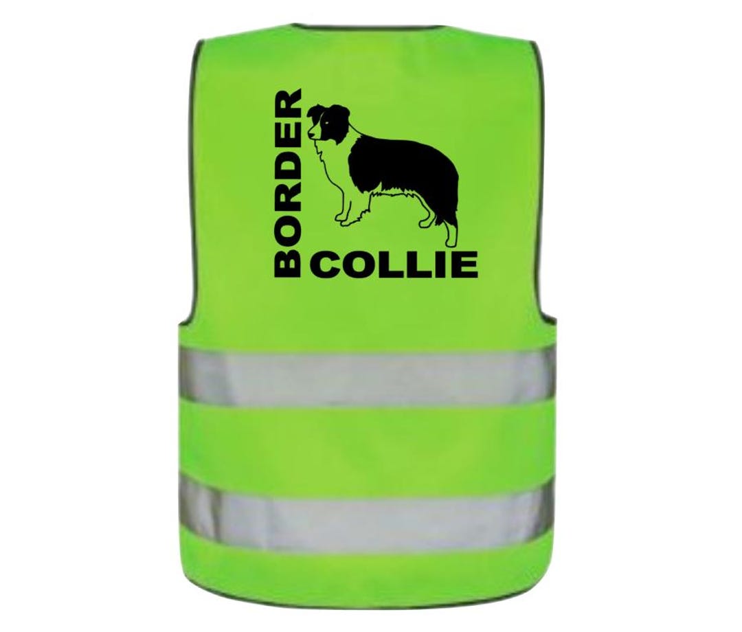 Safety Vest, High Visibility Vest for Children, Adults, Riders and Dog ...