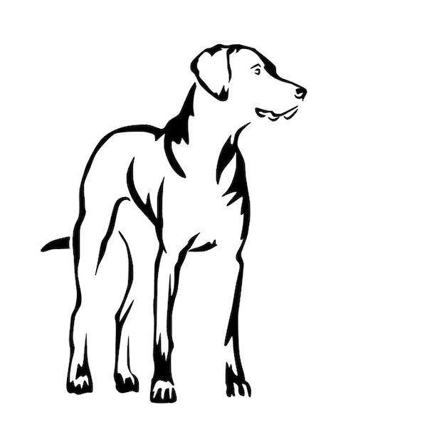 Rhodesian Ridgeback - Etsy