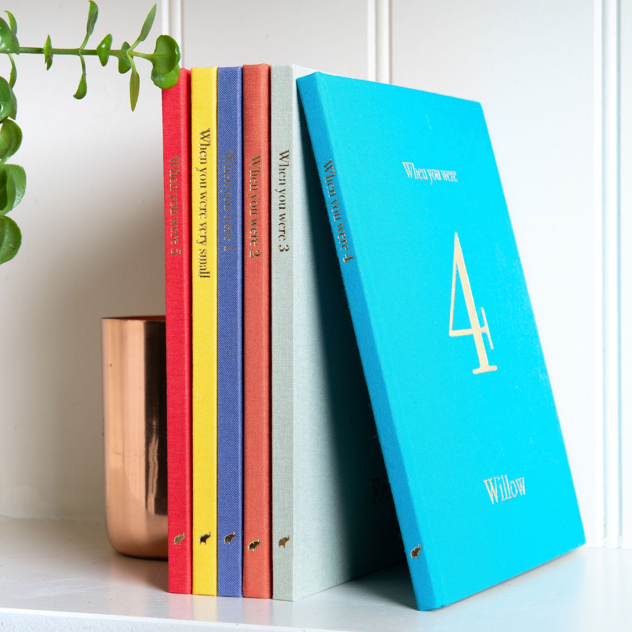 5th Year Record Book | Childhood Record Book | When You Were 5 Memory ...