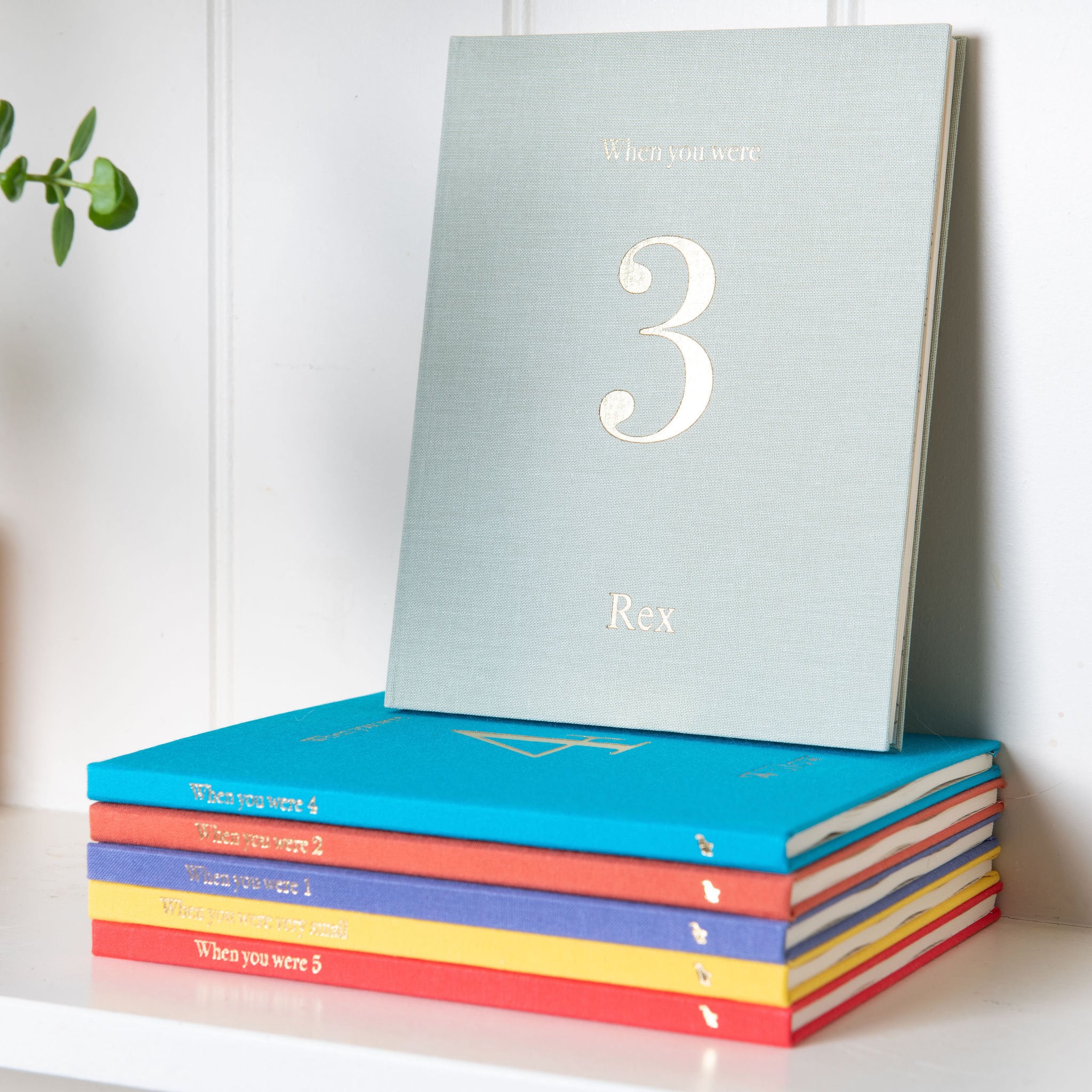 3rd Birthday Book Childhood Record Book. When You Were 3 | Etsy