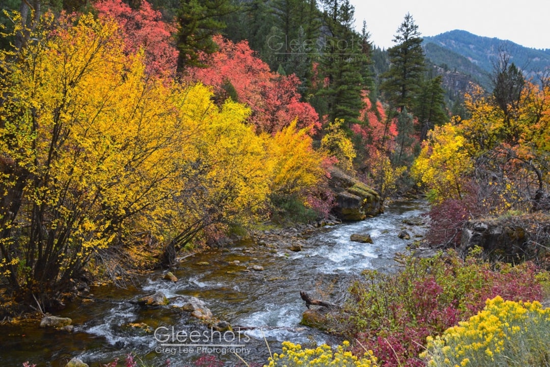 Logan River in Autumn Photo, Logan Canyon Photo, Logan Utah Print, Fall ...