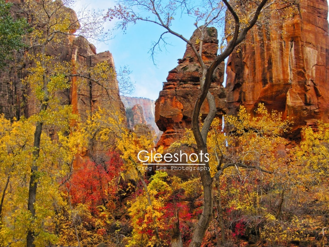 Zion National Park Photo, Autumn Foliage Print, Utah Fall Colors ...