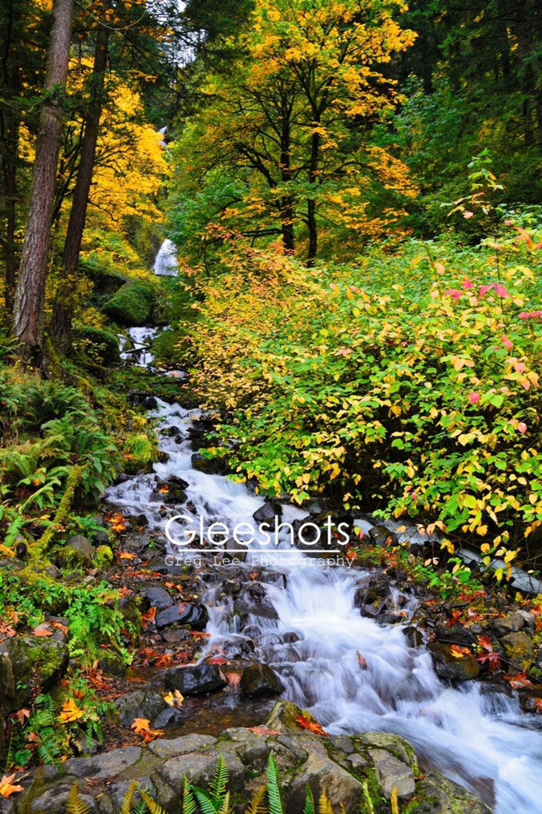 Oregon Waterfall in Autumn Landscape Photo Print Fall - Etsy