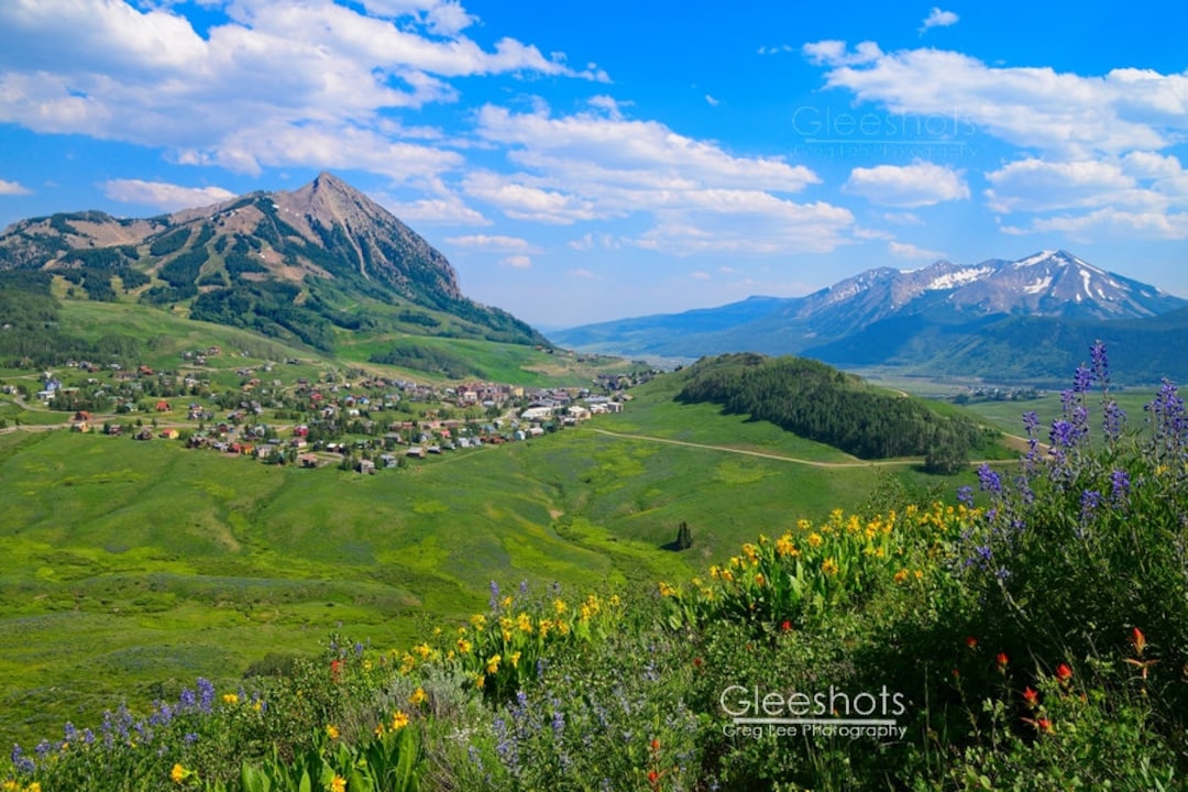 Crested Butte Photo Print, Mt Crested Butte Photo, Colorado Wildflower ...