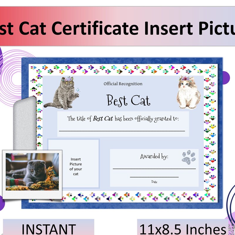 GildedPenguinCreatio - Etsy