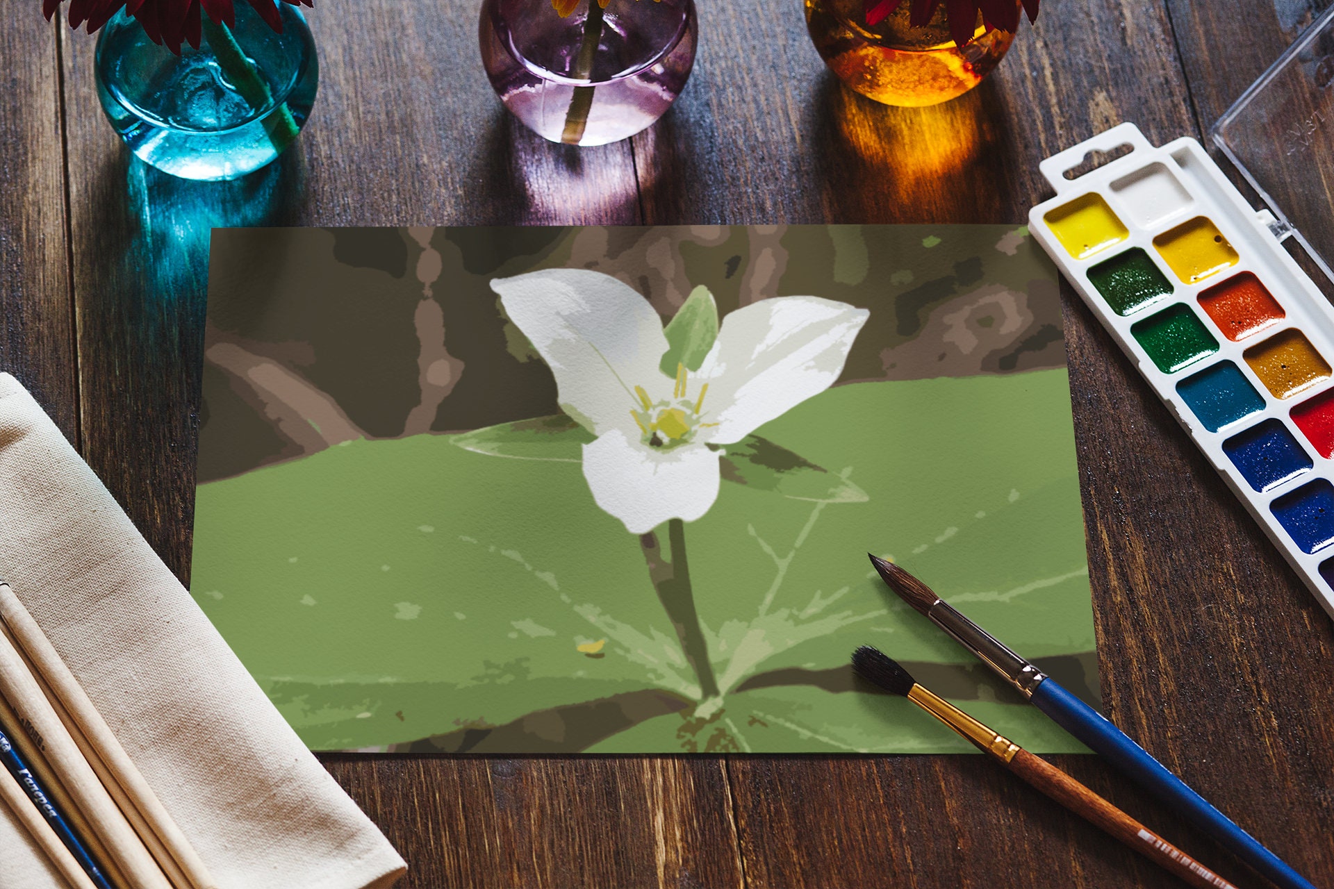 Western White Trillium, Flowering Plant, Floral, Botanical, Blooming ...